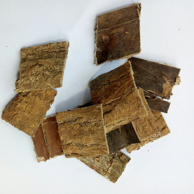 Raw Material Du Zhong Chinese Natural Medicine Eucommia Ulmoides Cortex ...