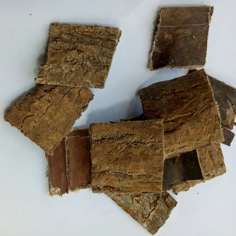 Raw Material Du Zhong Chinese Natural Medicine Eucommia Ulmoides Cortex ...