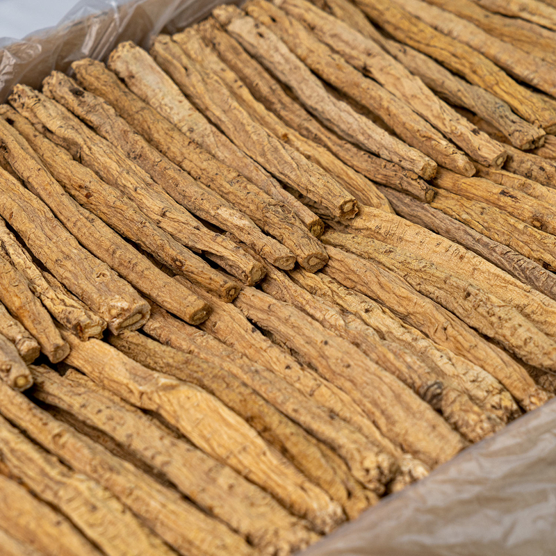 Organic Herb Made in China Natural Dang Shen Codonopsis Root Pilosula ...